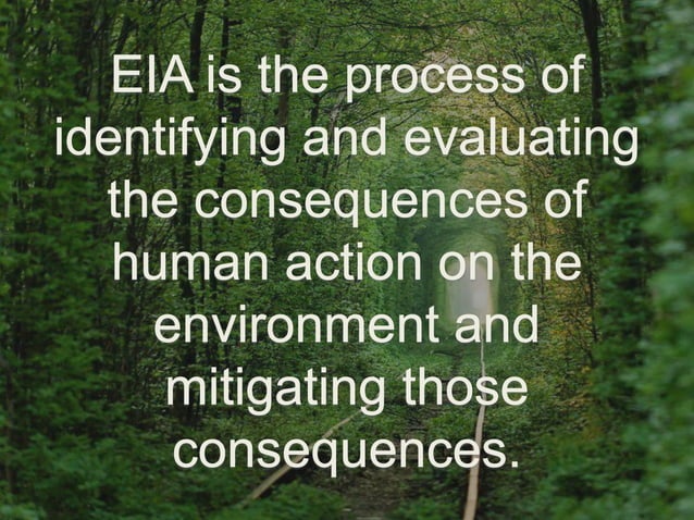 3.-DENR-Compliances-for-Business-Operation.pdf | Environmental Services ...