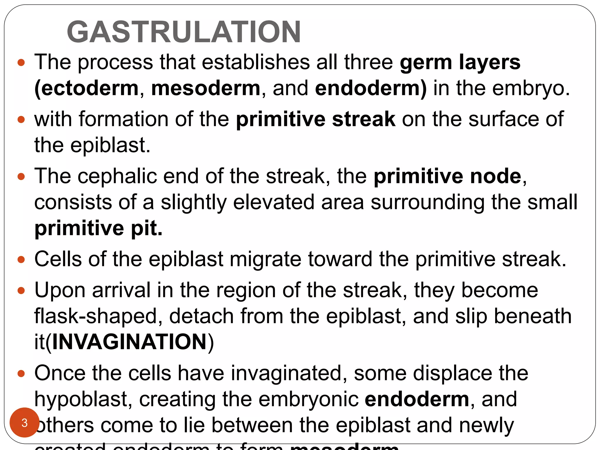 3.1_Third_Week_of_Development[1].pptx | Biological Sciences | Science