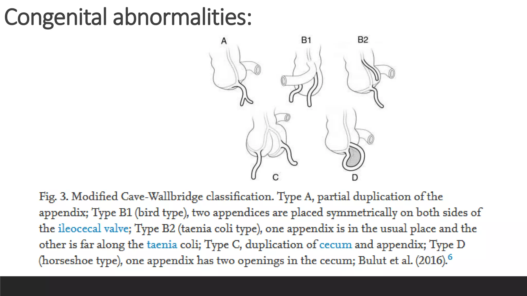 3. Appendix (Anatomy).pptx
