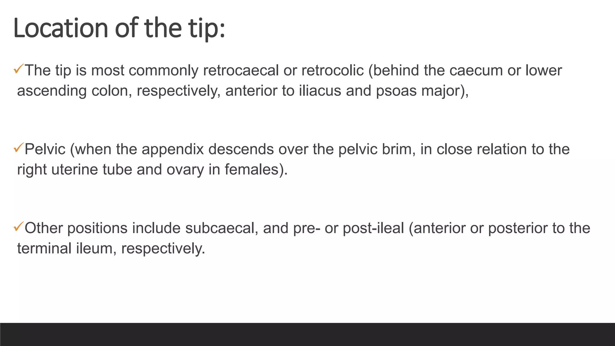 3. Appendix (Anatomy).pptx