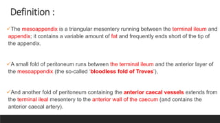 3. Appendix (Anatomy).pptx