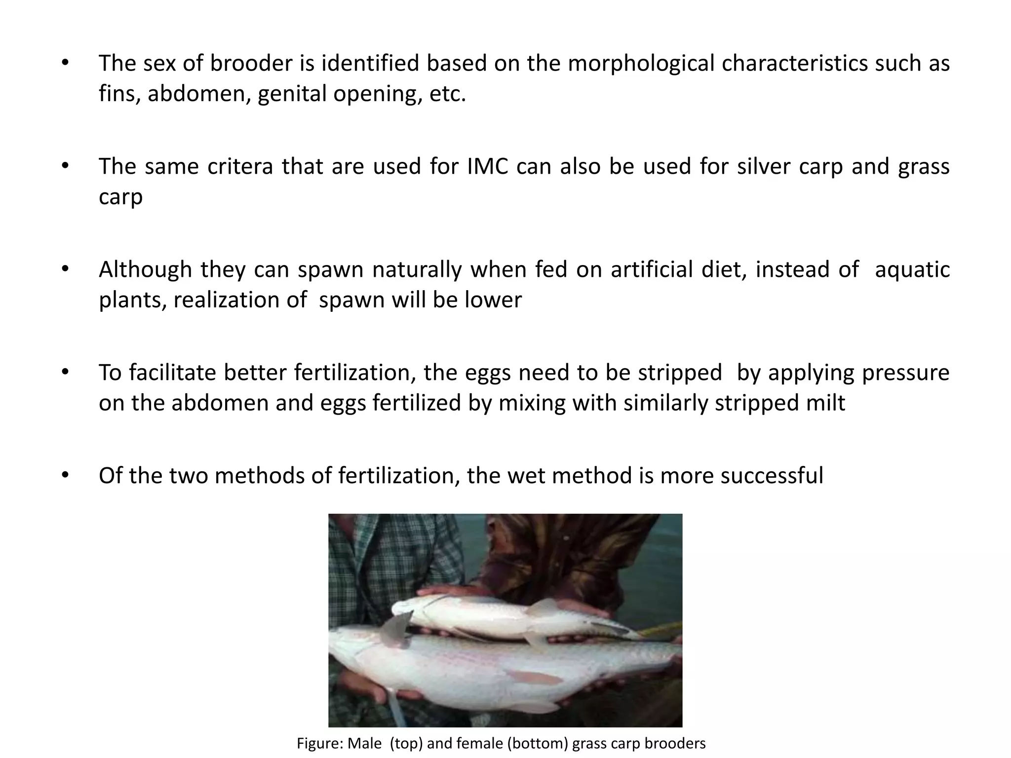3.7.Induced breeding of exotic carps.ppt