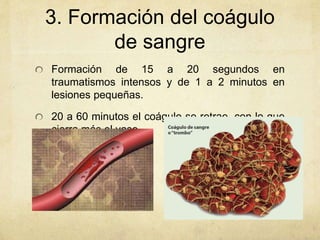 Hemostasia y coagulación.pptx