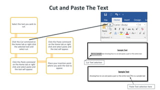 3. Basics of Microsoft word.pdf