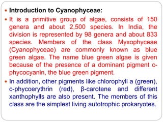 3. Cyanobacteria. Dr. Thirunahari Uagandhar ppt | PPT