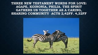 3. Communion in Community.pptx