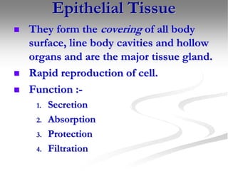 3. LECTURE 3 Tissue.ppt