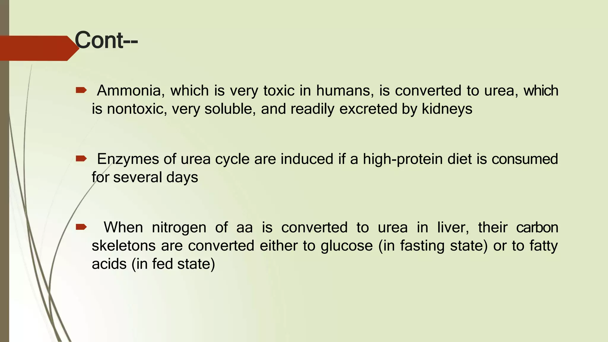 Urea Cycle & Associated Disorders | PPTX