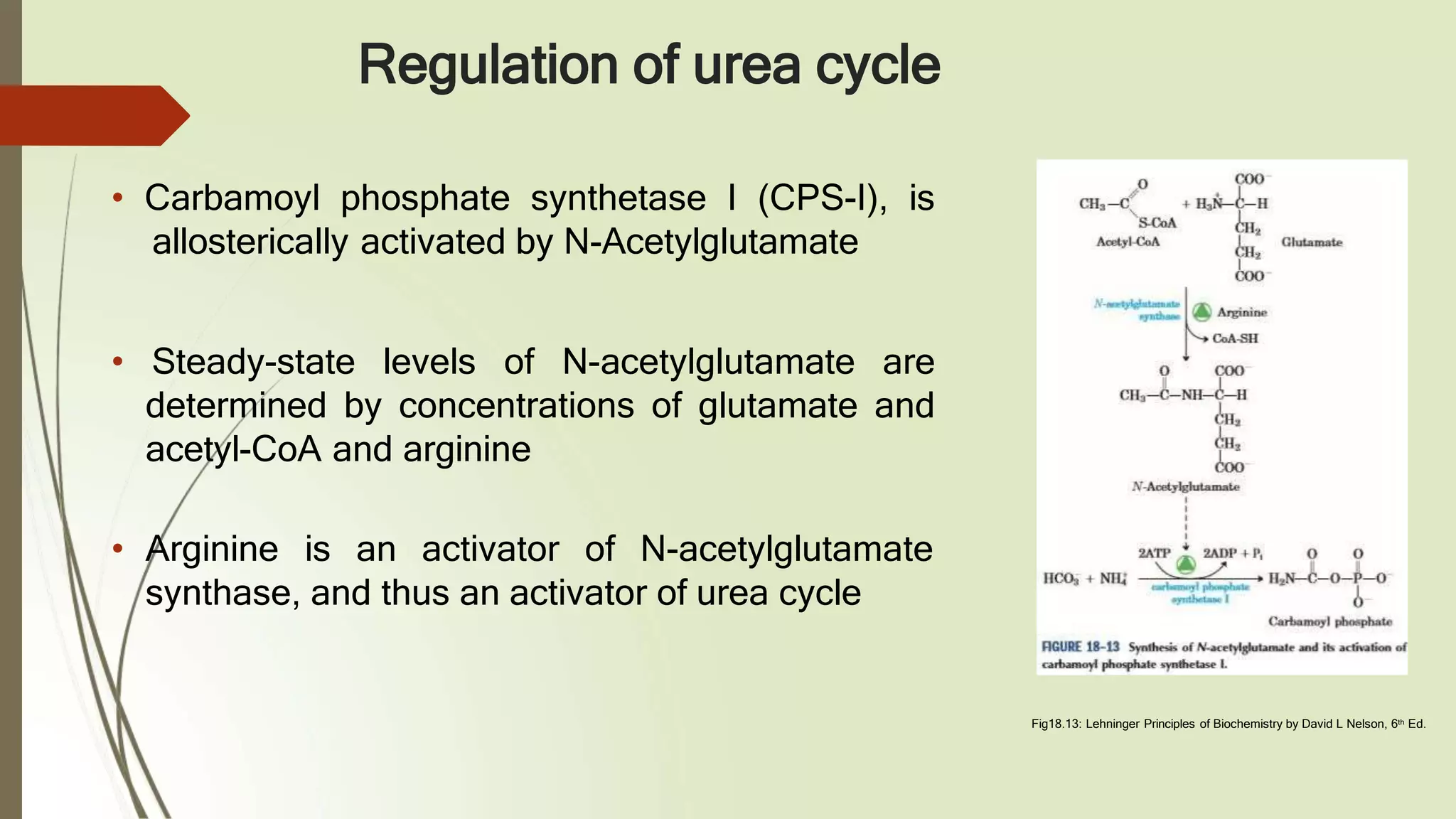 Urea Cycle & Associated Disorders | PPTX