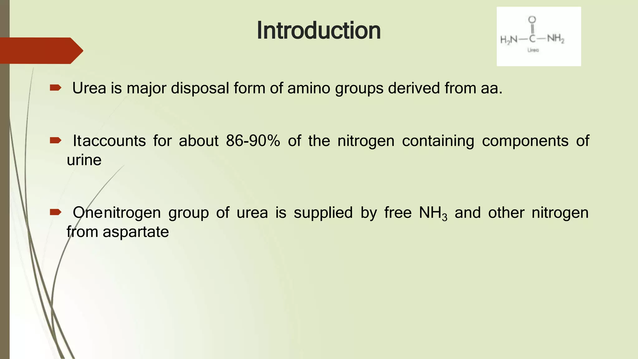 Urea Cycle & Associated Disorders | PPTX