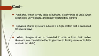 Urea Cycle & Associated Disorders | PPTX