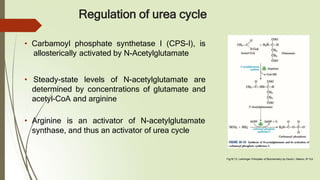 Urea Cycle & Associated Disorders | PPTX