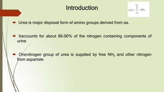 Urea Cycle & Associated Disorders | PPTX