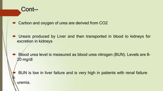 Urea Cycle & Associated Disorders | PPTX