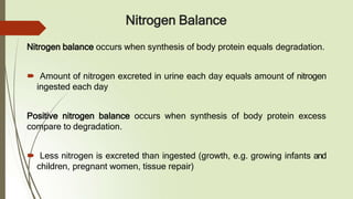 Urea Cycle & Associated Disorders | PPTX