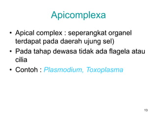 3. Protozoa.ppt