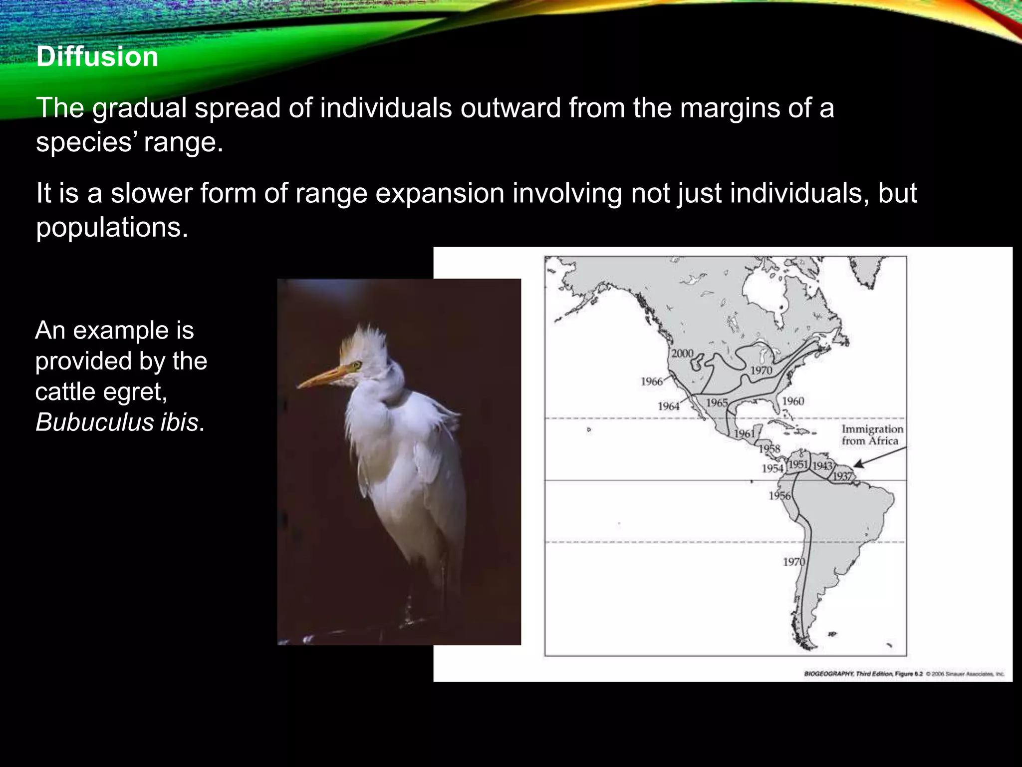 3. Dispersal (1).pptx