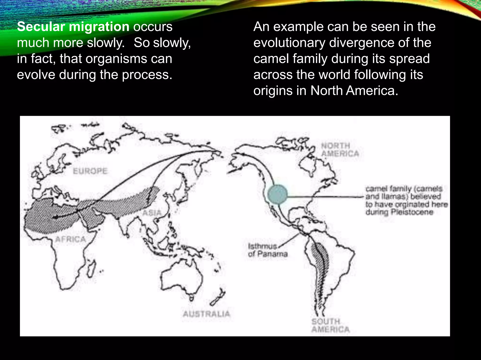 3. Dispersal (1).pptx