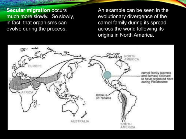 3. Dispersal (1).pptx