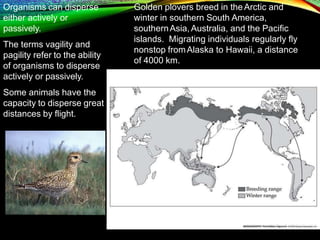 3. Dispersal (1).pptx