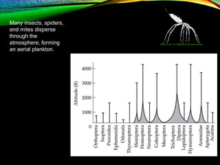 3. Dispersal (1).pptx
