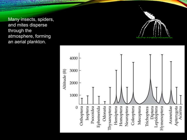 3. Dispersal (1).pptx
