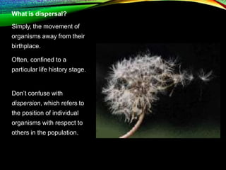 3. Dispersal (1).pptx