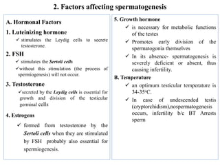 3.1. Male reproductive physiology.pptx