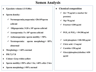 3.1. Male reproductive physiology.pptx
