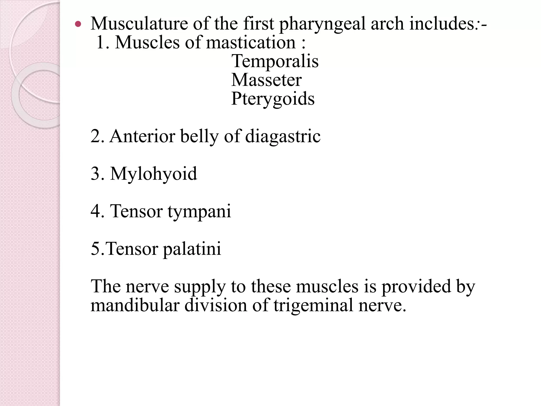 3.TRIGEMINAL NERVE.pptx