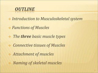 3.Musculoskeletal system2.pptx