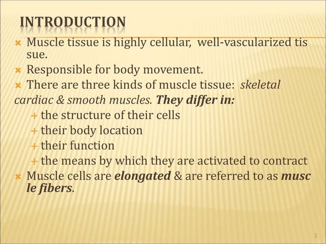 3.Musculoskeletal system2.pptx