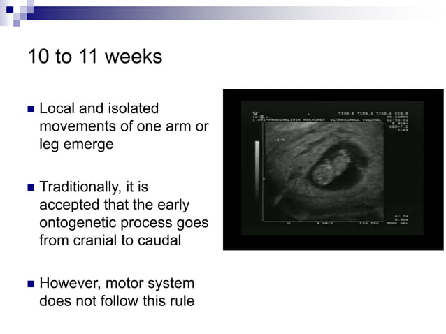 General movements.pptx
