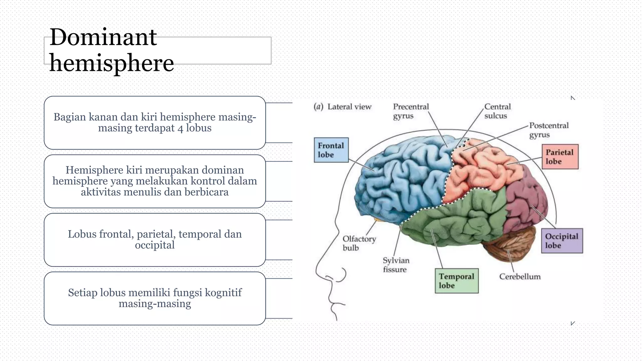 3. Gangguan Fungsi Cerebral.pptx