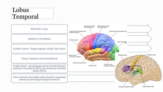 3. Gangguan Fungsi Cerebral.pptx