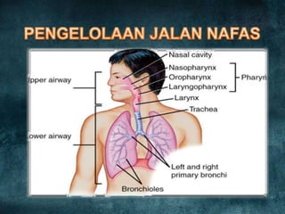 AIrway breathing.pptx
