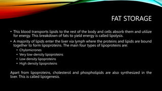 3. Fats.pptx