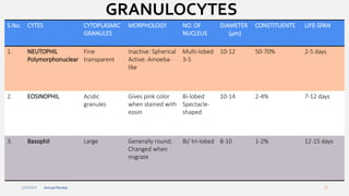 3. PPT ON BLOOD AND BLOOD CELLS.pptx