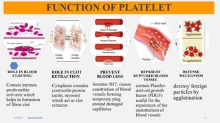 3. PPT ON BLOOD AND BLOOD CELLS.pptx