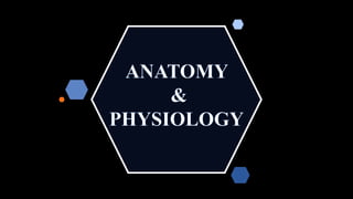 3. PPT ON BLOOD AND BLOOD CELLS.pptx