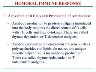 3. adaptive immunity_-1.pptx