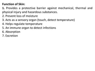 3. Integumentary system (Skin).pptx