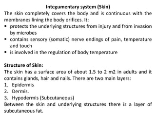 3. Integumentary system (Skin).pptx