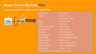 VMware DCV_ICM_Architectural Differences, Virtual Machines, Guest OS ...