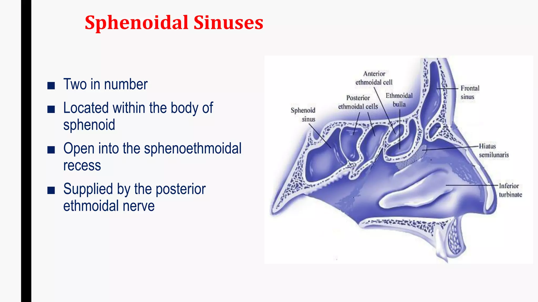 3. Nose, Nasal Cavity and Paranasal Air Sinuses.pdf