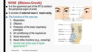 3. Nose, Nasal Cavity and Paranasal Air Sinuses.pdf