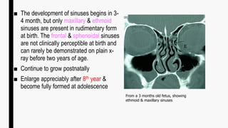 3. Nose, Nasal Cavity and Paranasal Air Sinuses.pdf