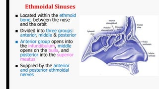 3. Nose, Nasal Cavity and Paranasal Air Sinuses.pdf