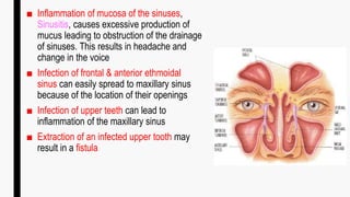 3. Nose, Nasal Cavity and Paranasal Air Sinuses.pdf
