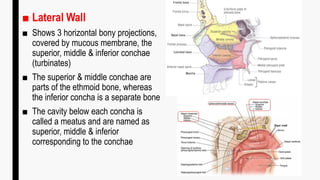 3. Nose, Nasal Cavity and Paranasal Air Sinuses.pdf